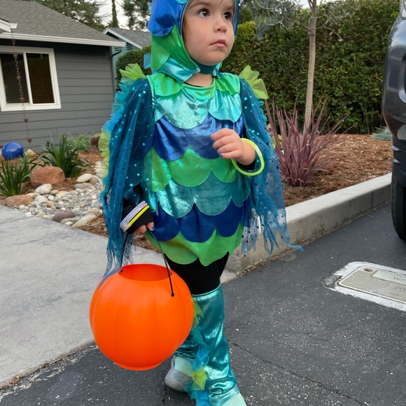 Chasing Fireflies | Costumes | Chasing Fireflies Fish Costume | Poshmark